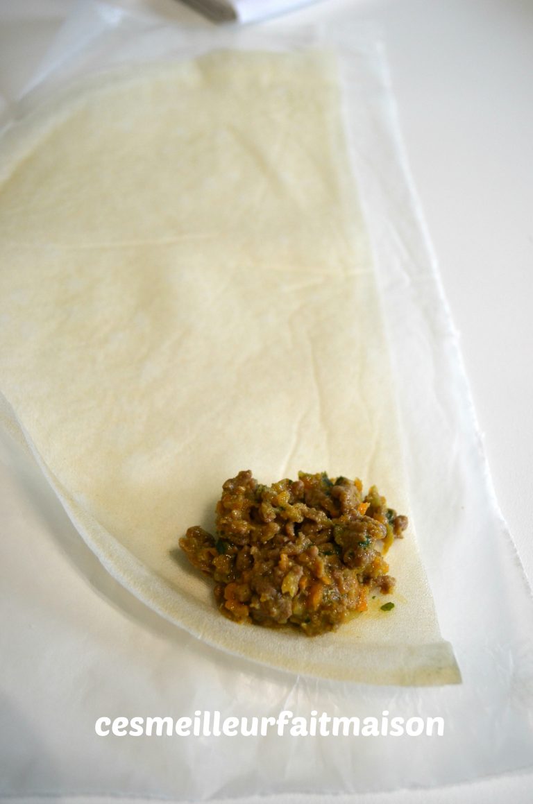 Samoussas au curry - C'est meilleur fait maison